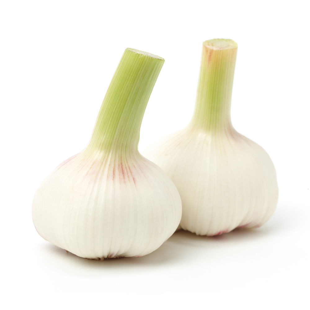 Knoflook vers – Kadir | De Groente- én Fruitspecialist